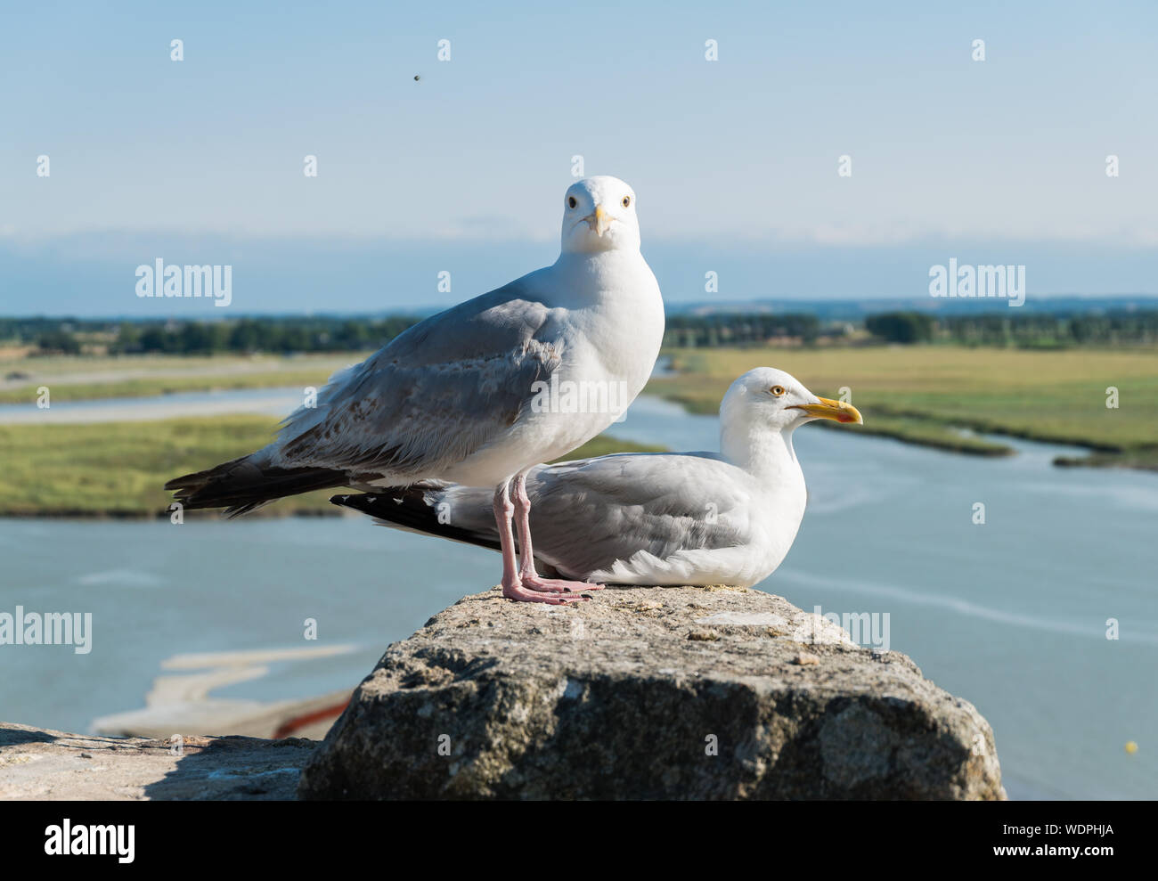 Cliff retaining wall hi-res stock photography and images - Alamy