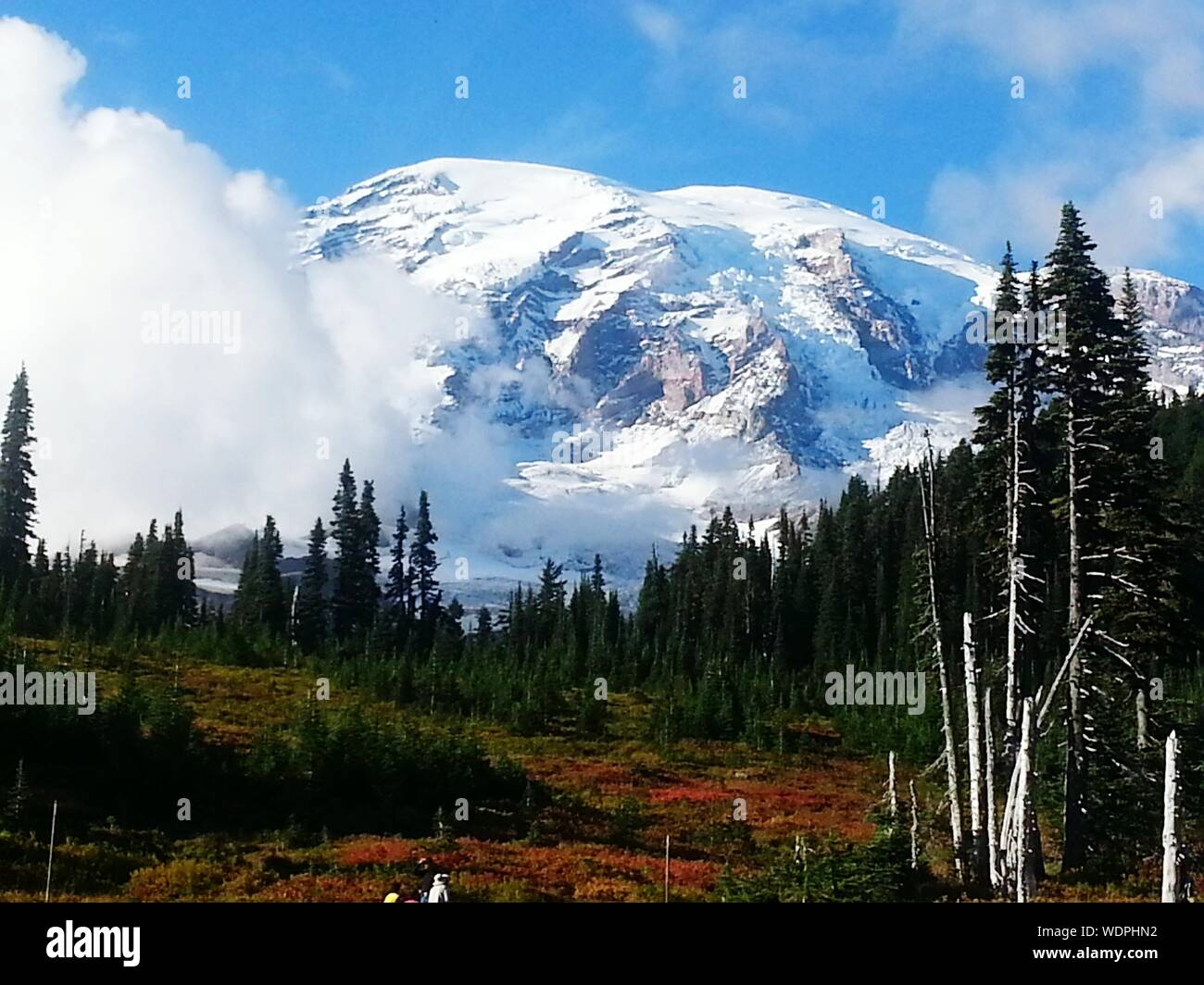 Mt rainier snow hi-res stock photography and images - Alamy