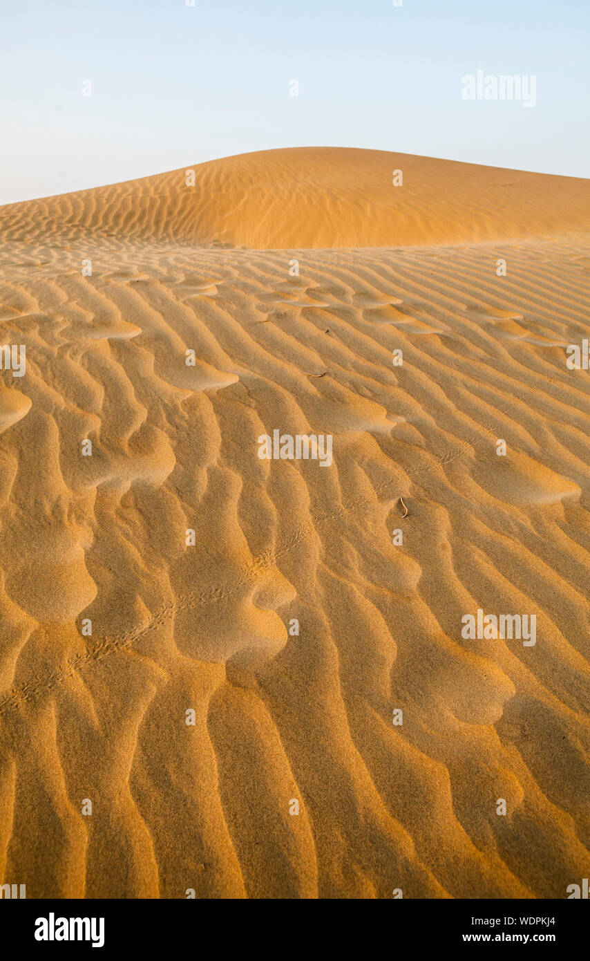 Sand dunes, Thar Desert, Rajasthan, India Stock Photo - Alamy