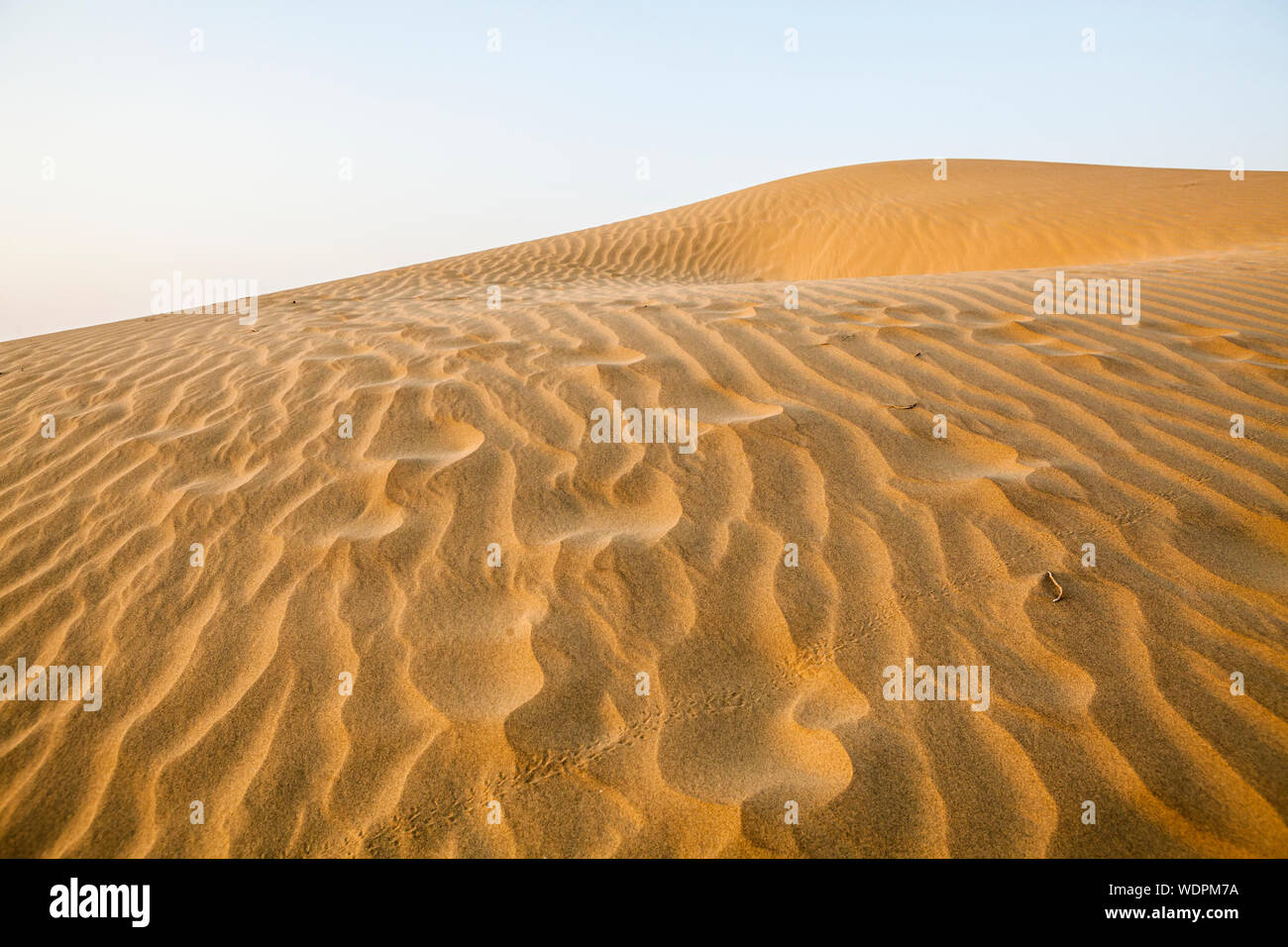 Sand dunes, Thar Desert, Rajasthan, India Stock Photo - Alamy