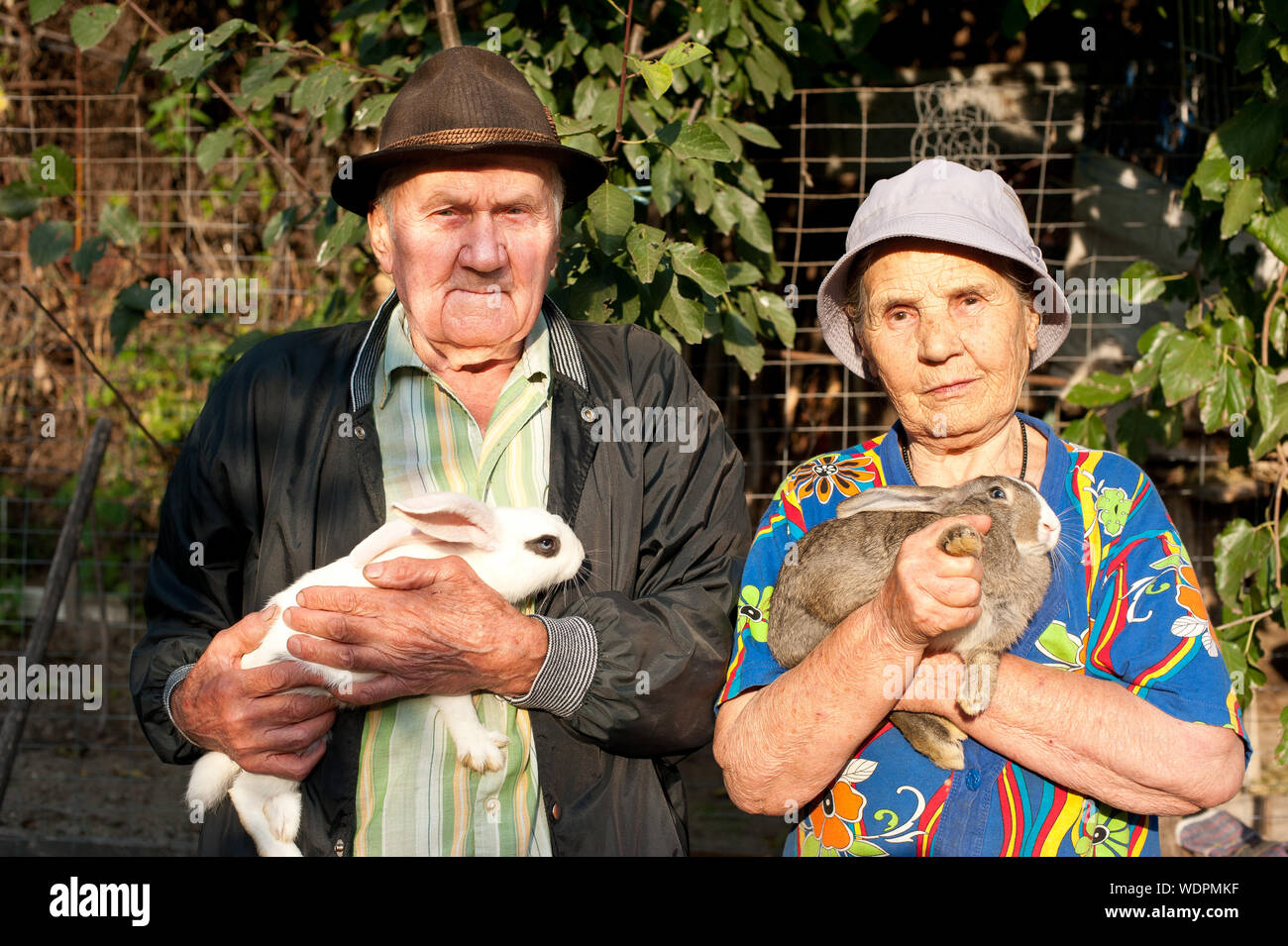 Couple rabbit hi-res stock photography and images - Alamy