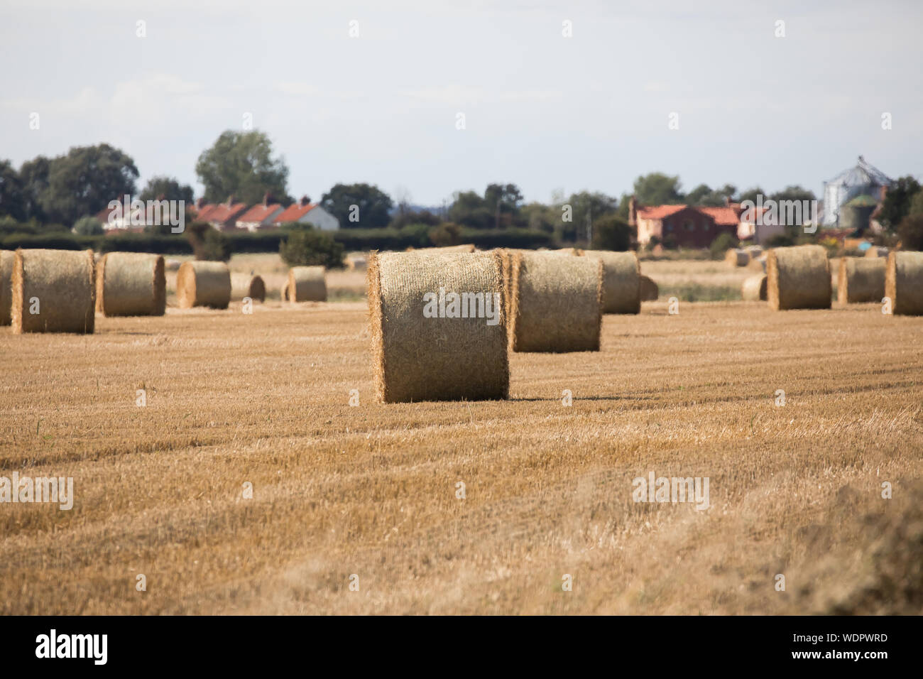 Rolls of Straw in Sea Palling, Waxham,Norfolk on a sunny Summers day ...