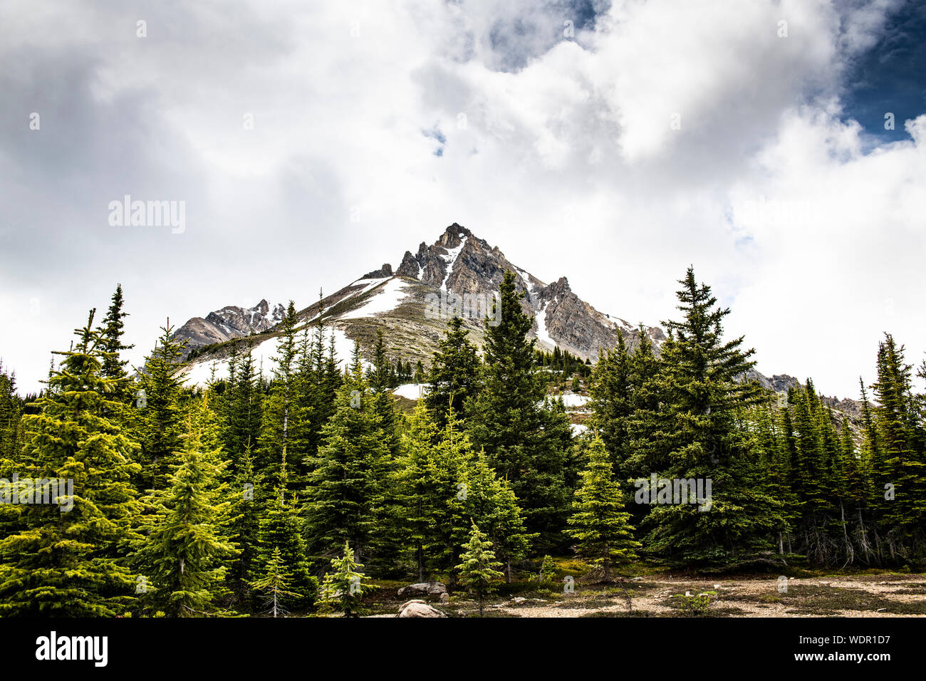 Magnificent scenic view while hiking on the Bow summit Lookout, in ...
