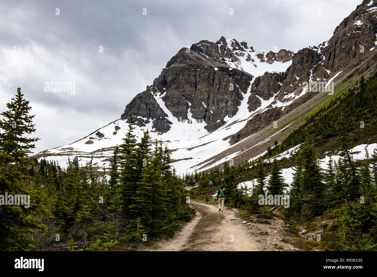 Alberta banff national park hi-res stock photography and images - Alamy
