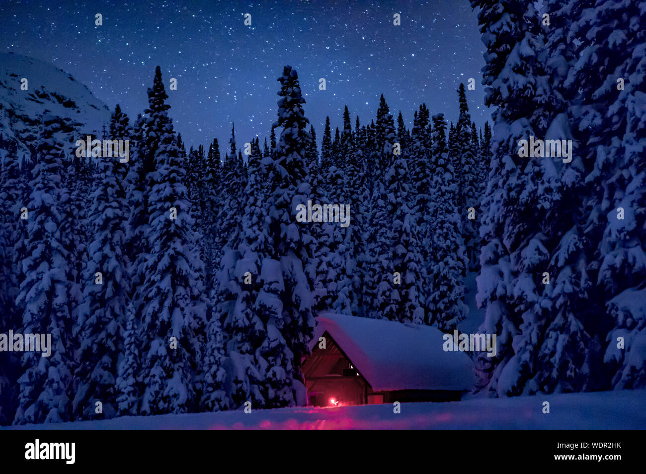 Pine Trees Forest Snow Night High Resolution Stock Photography and ...