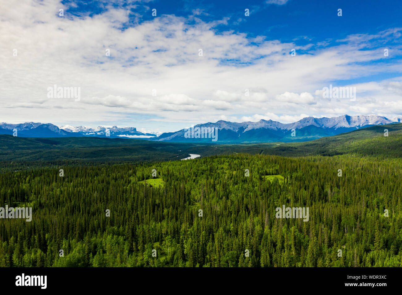 Aerial forest leading rocky mountains hi-res stock photography and ...