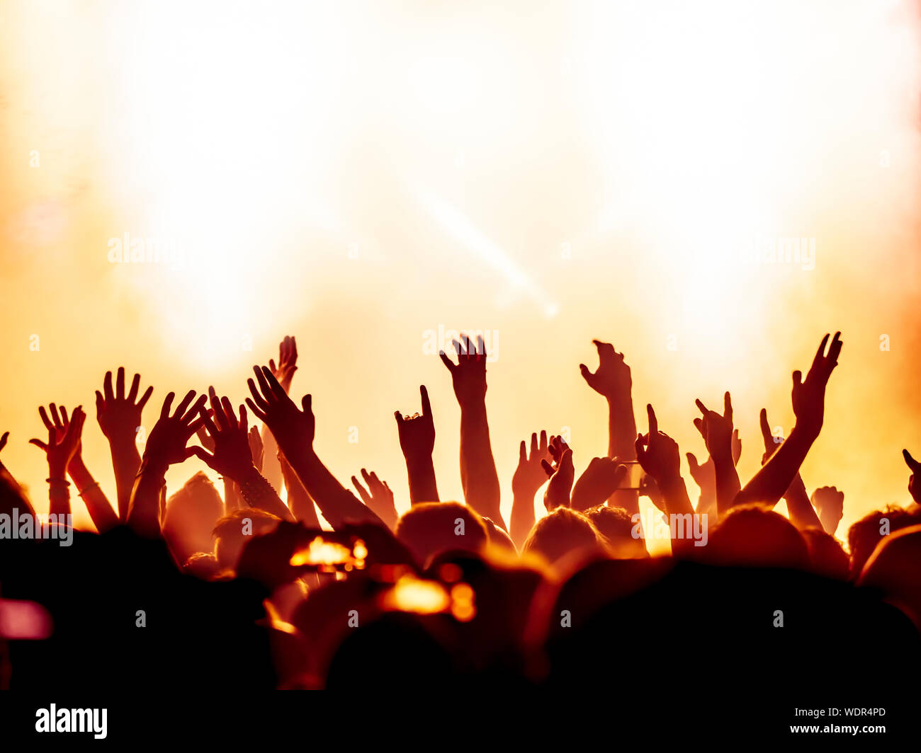 Concert Crowd Silhouette
