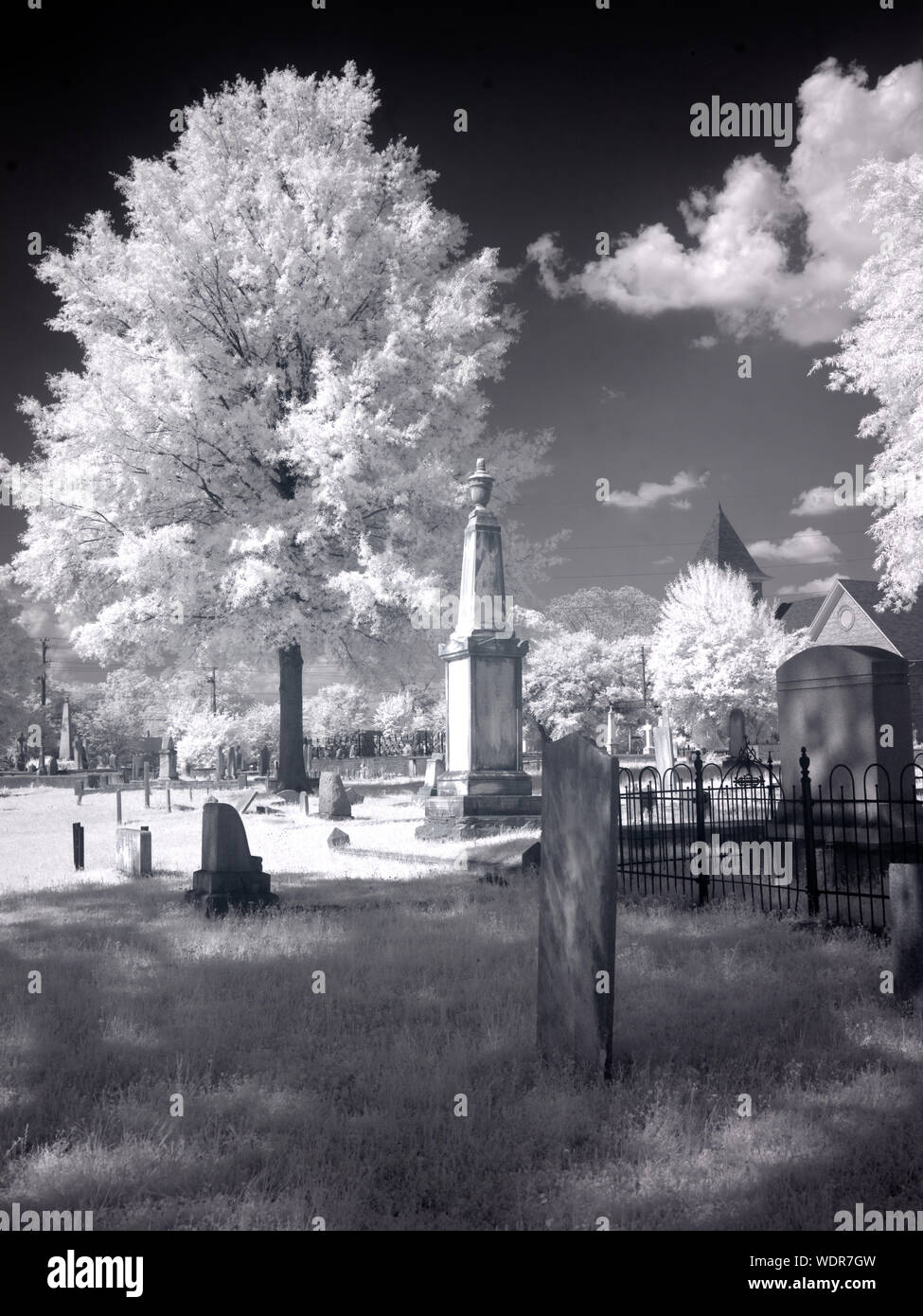 Greenwood Cemetery is the original cemetery in Tuscaloosa, Alabama ...
