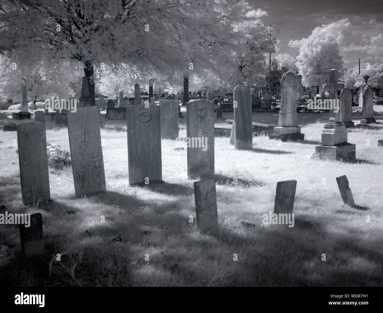 Greenwood Cemetery is the original cemetery in Tuscaloosa, Alabama ...