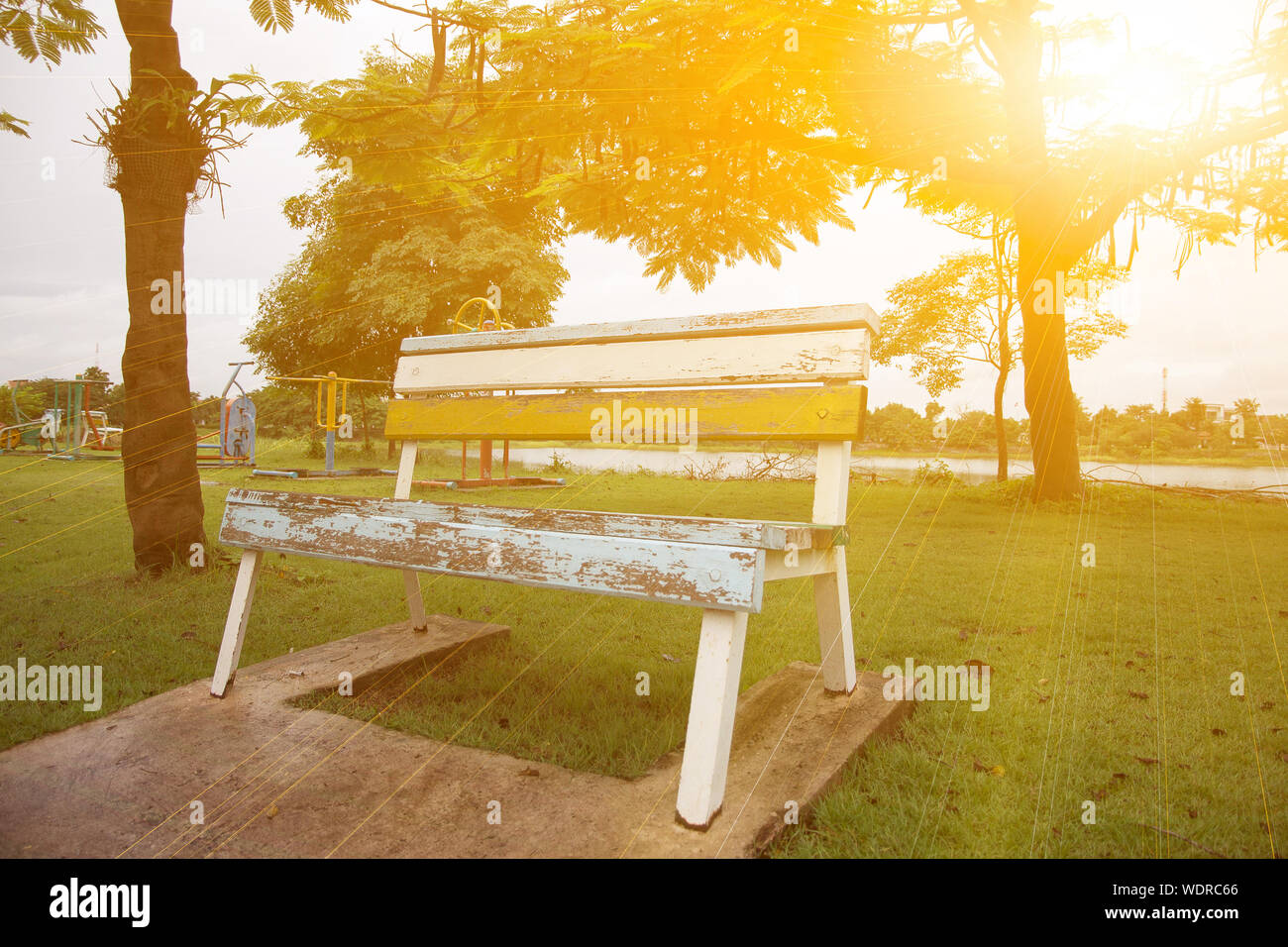Empty tree hi-res stock photography and images - Alamy