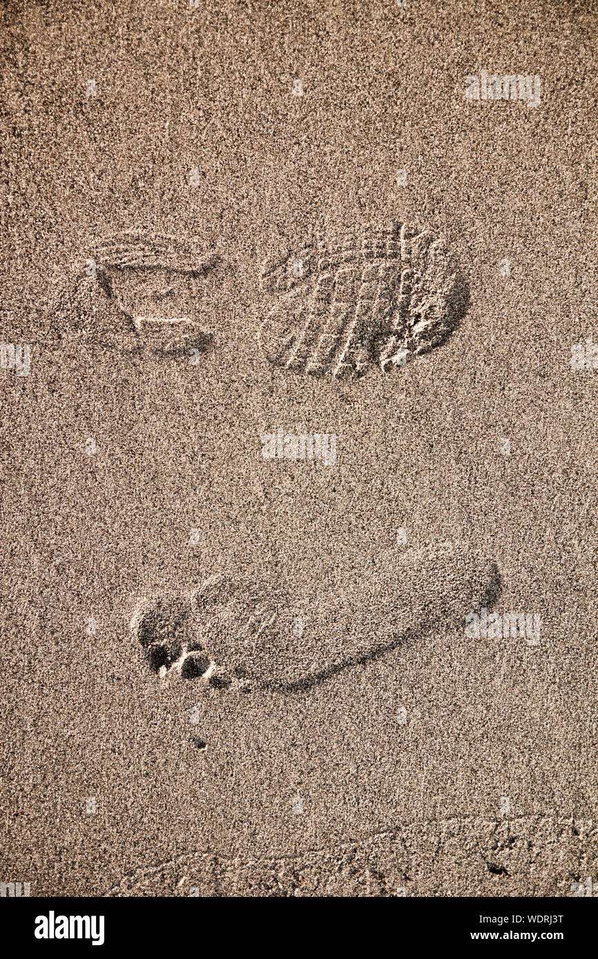 Shoe Print Footprint High Resolution Stock Photography and Images - Alamy