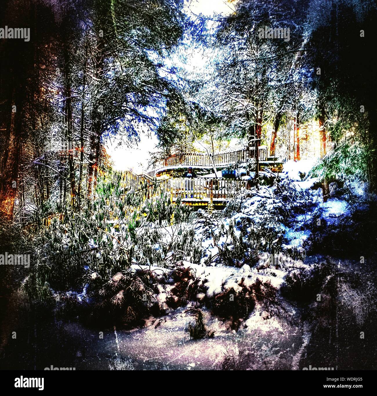 Snow covered garden hi-res stock photography and images - Alamy