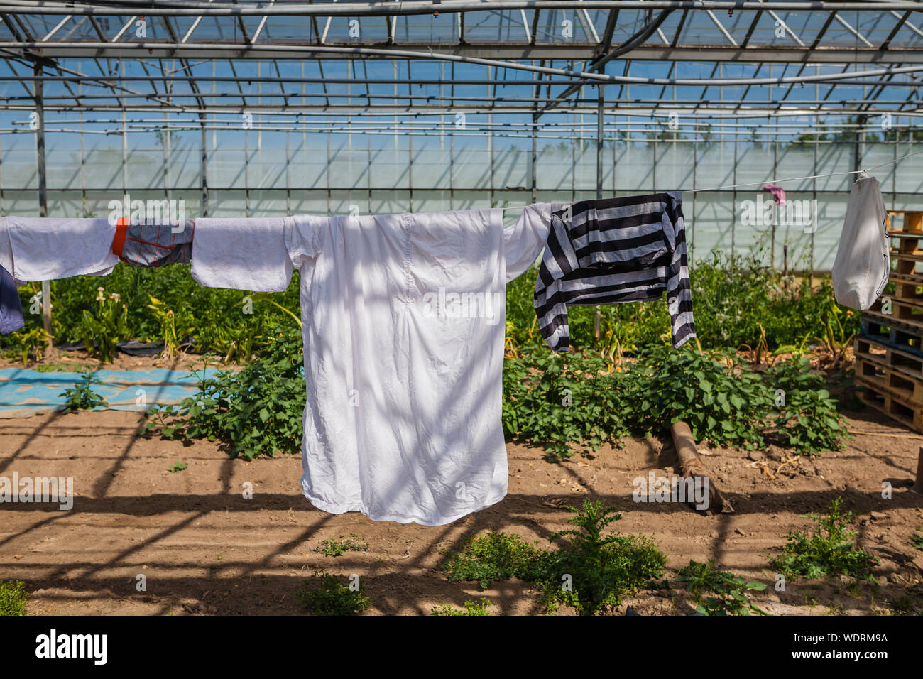 Clothes line washing makeshift hi-res stock photography and images - Alamy