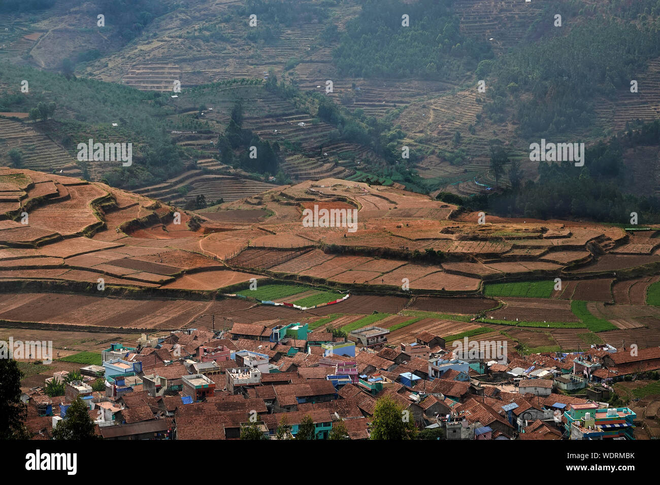Beautiful step cultivation / terrace farming in Poombarai village near ...