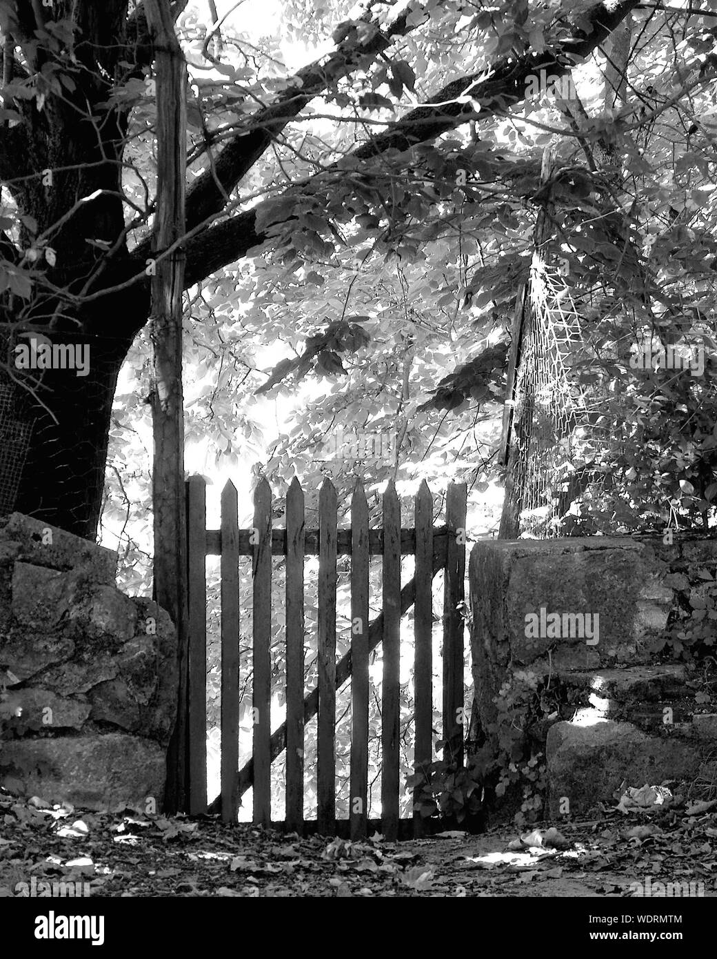 Narrow gate hi-res stock photography and images - Alamy