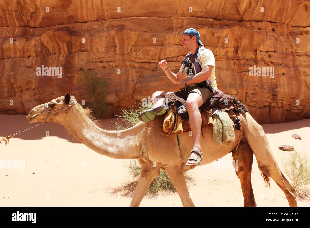Man sitting on camel hi-res stock photography and images - Alamy