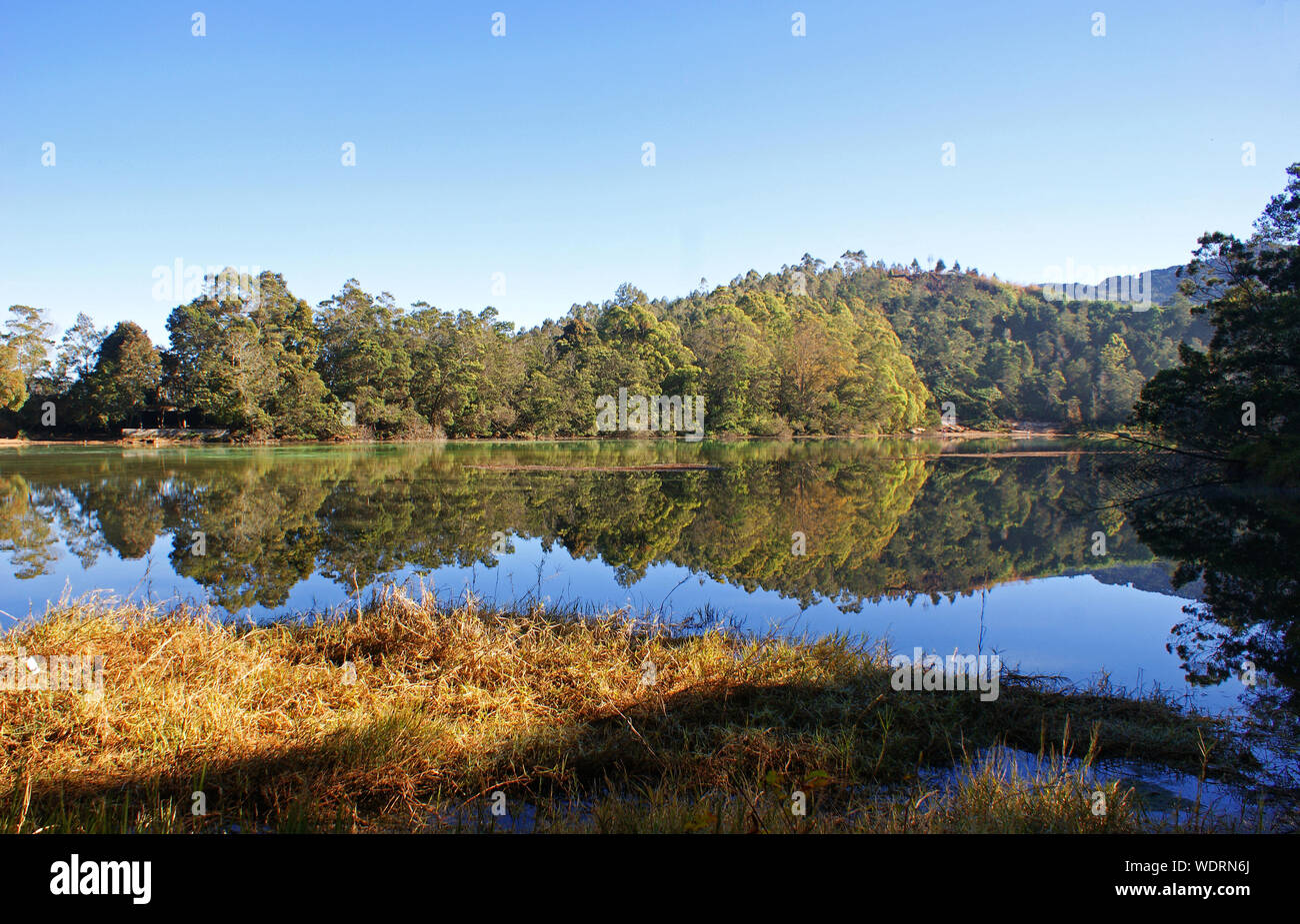 Reflection Water on Telaga Warna Lake, Dieng Plateau, Wonosobo, Central ...