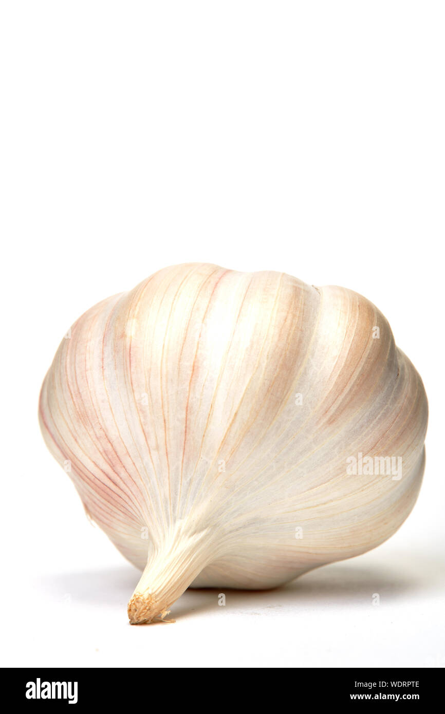 Single bulb of garlic hi-res stock photography and images - Alamy