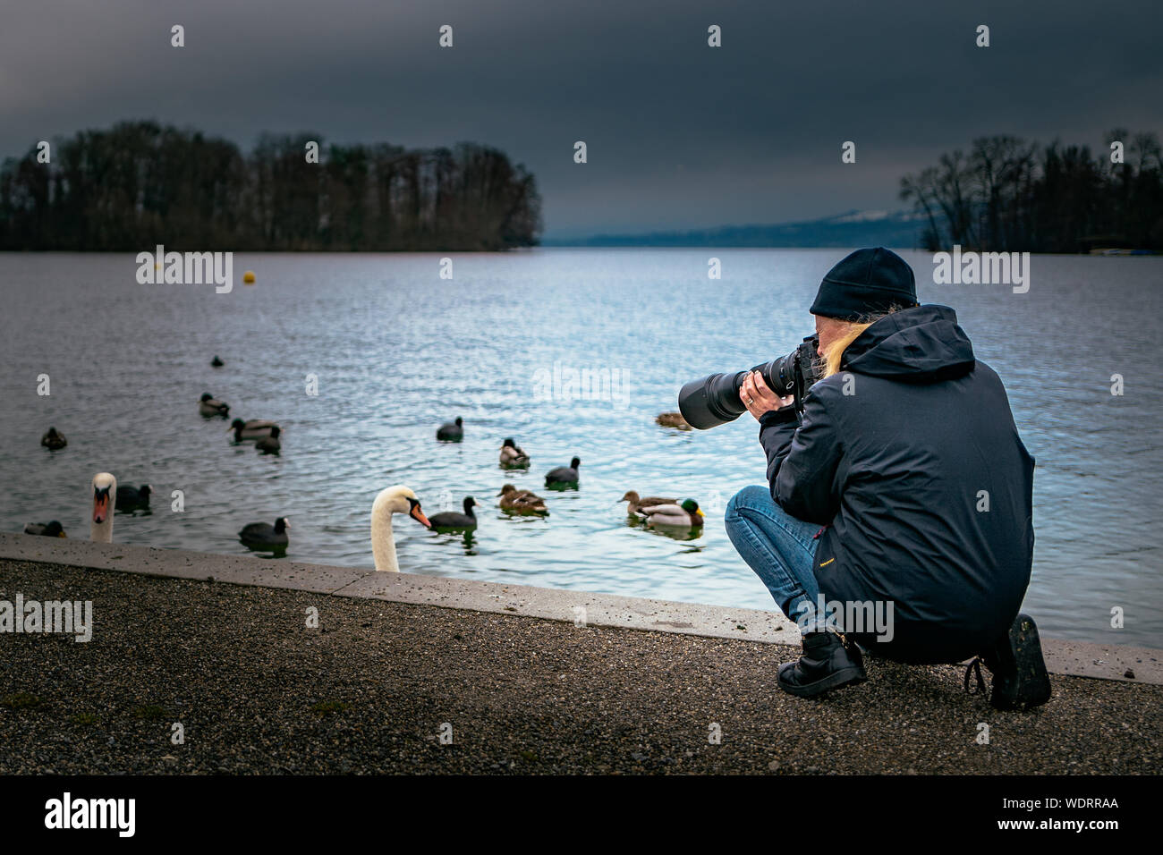 Photographing Birds High Resolution Stock Photography and Images - Alamy