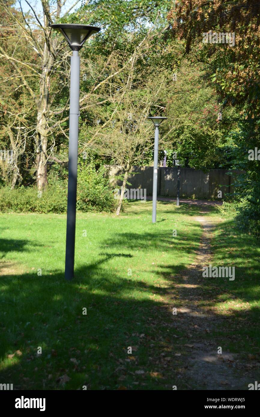 Lamp post in trees hi-res stock photography and images - Alamy