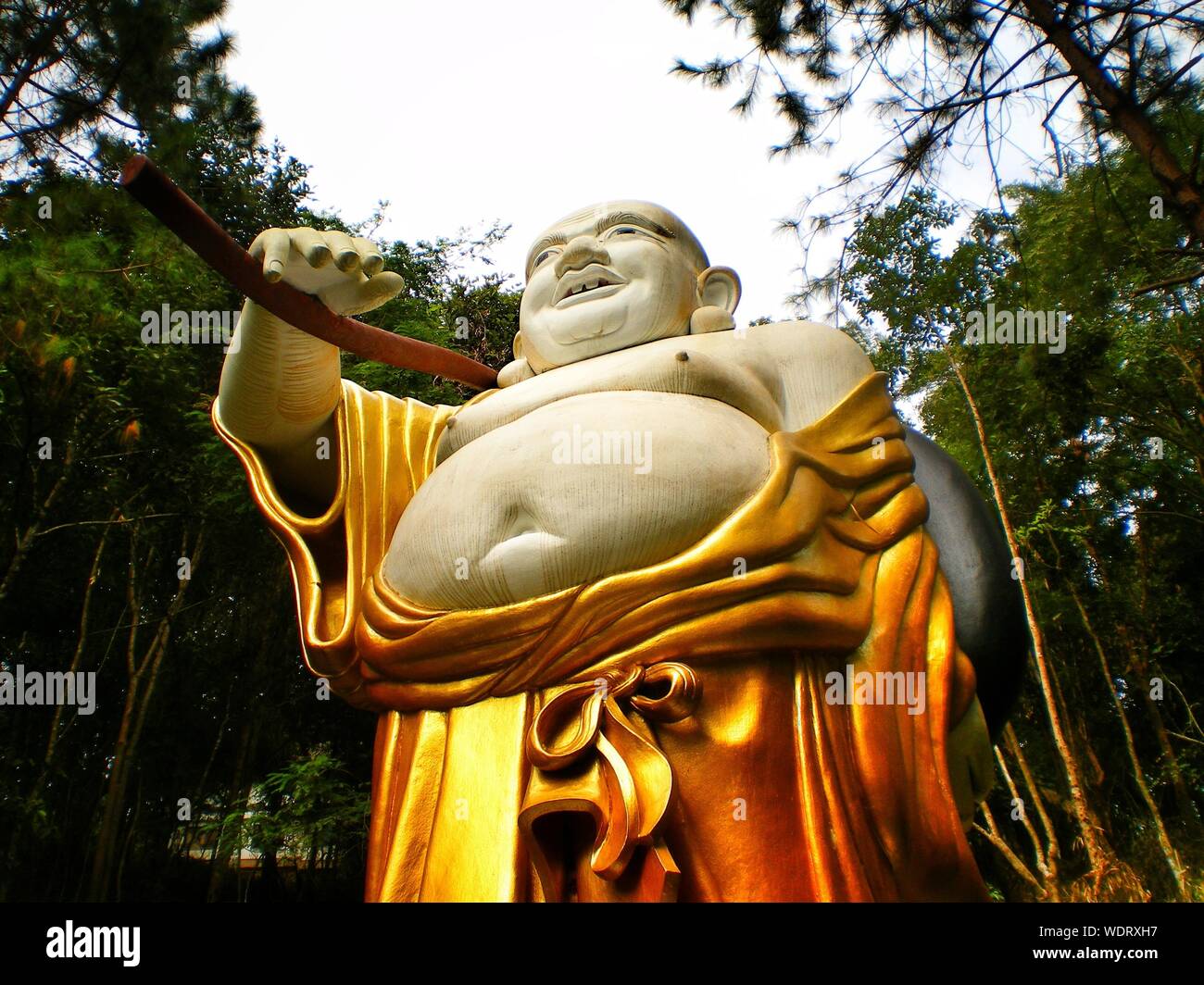Bald buddha hi-res stock photography and images - Alamy