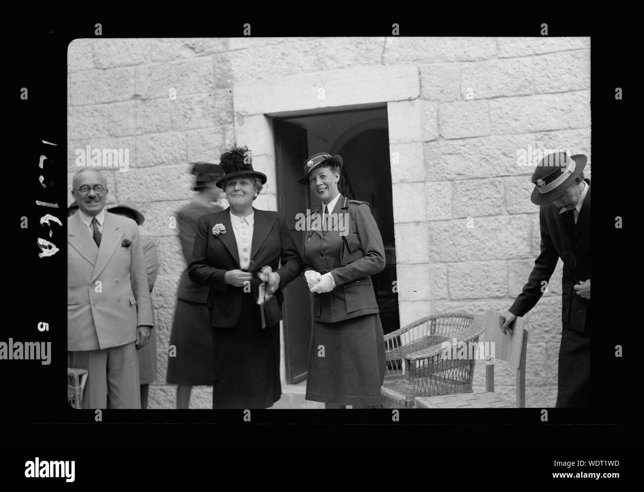 Tea trees Black and White Stock Photos & Images - Alamy