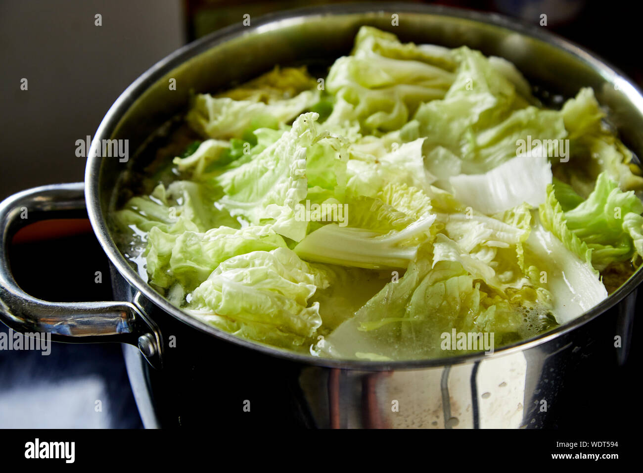 In water lettuce hi-res stock photography and images - Alamy