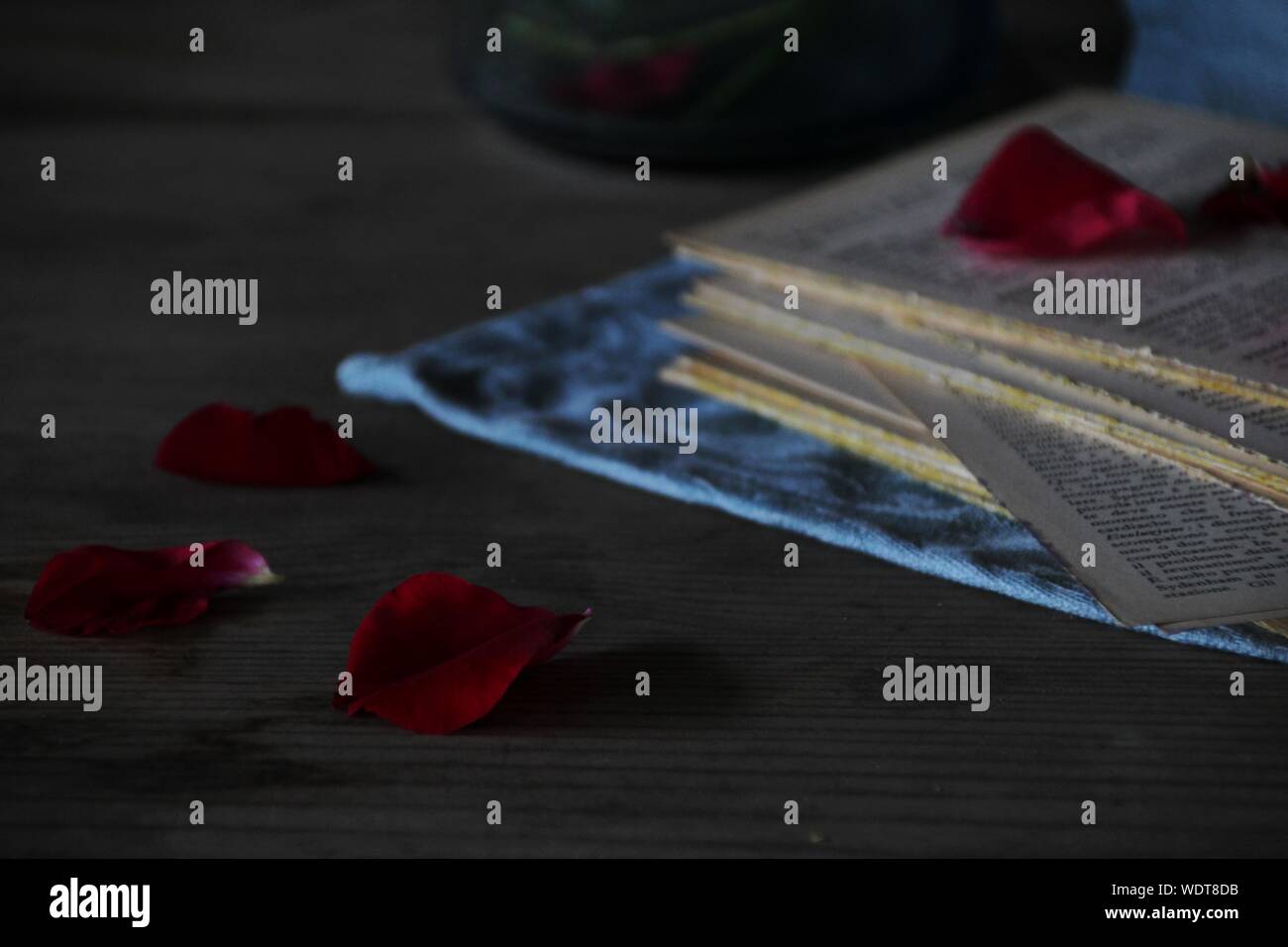 Torn book hi-res stock photography and images - Alamy