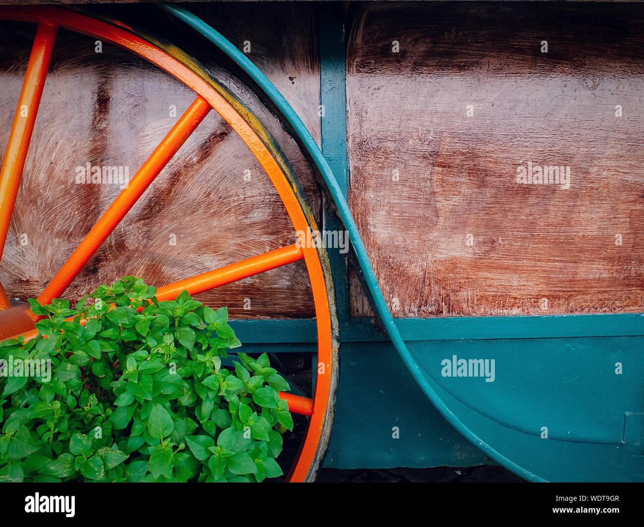 Cartwheel hi-res stock photography and images - Alamy