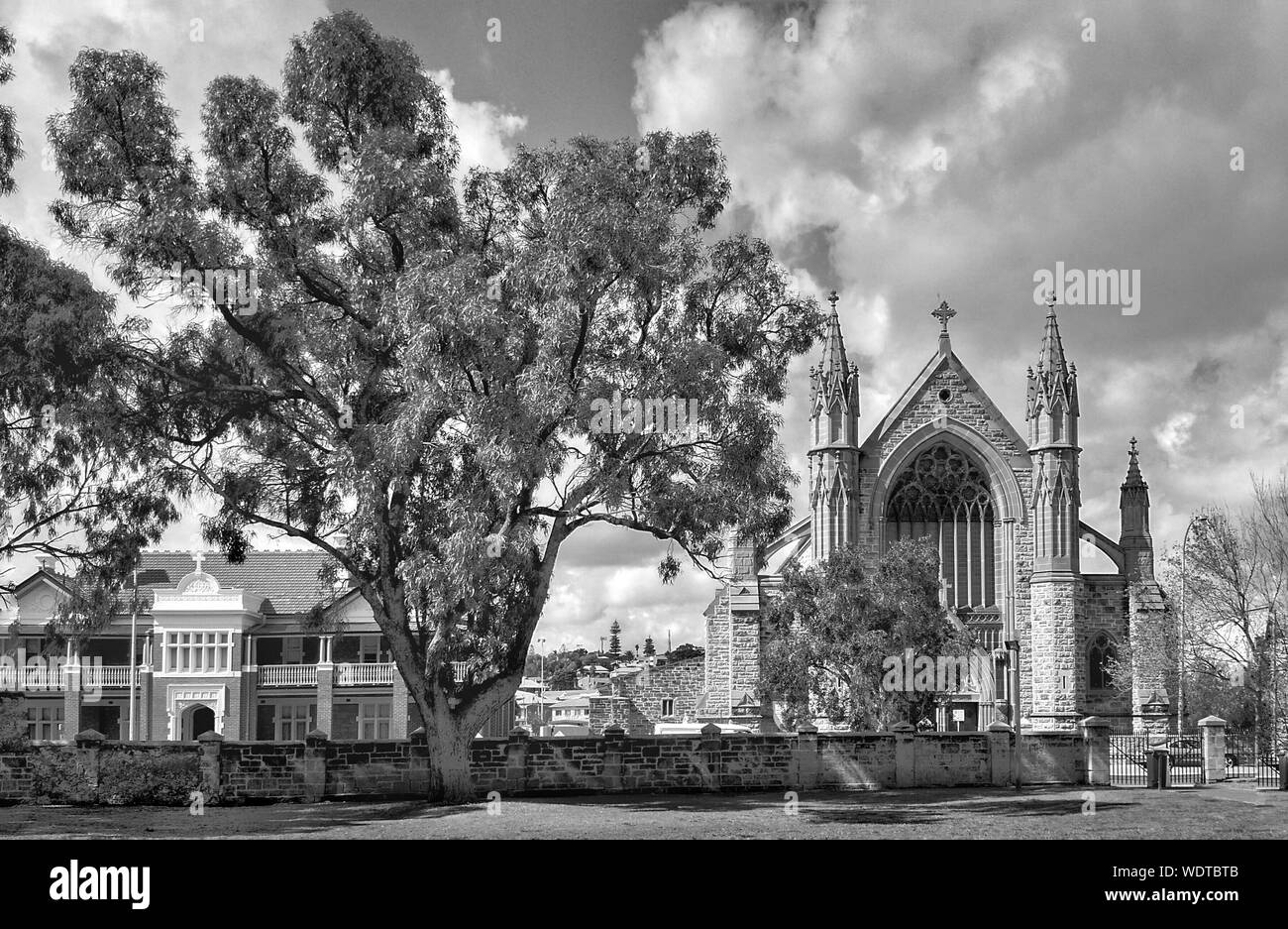 Tree churches hi-res stock photography and images - Alamy