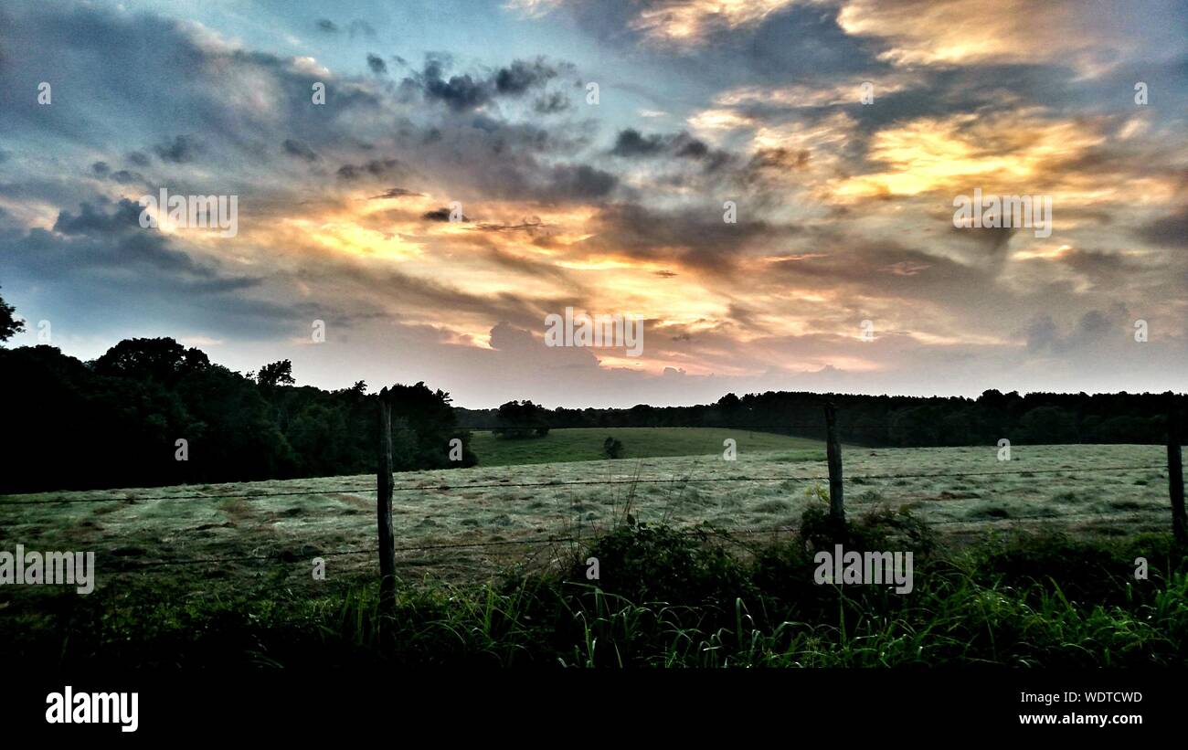 Empty Pasture High Resolution Stock Photography and Images - Alamy