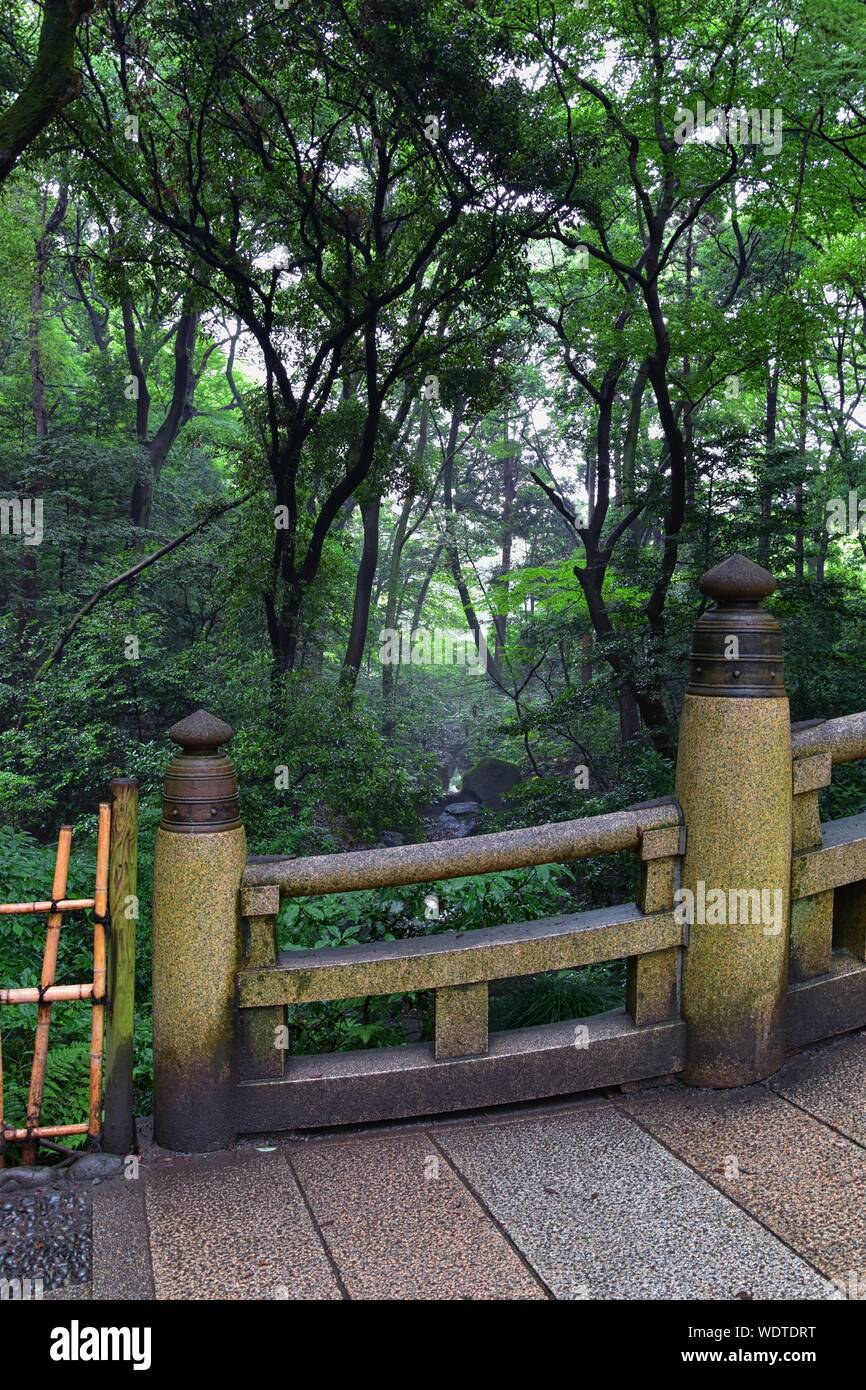 Traditional Japanese gardens in public parks in Tokyo, Japan. Views of ...