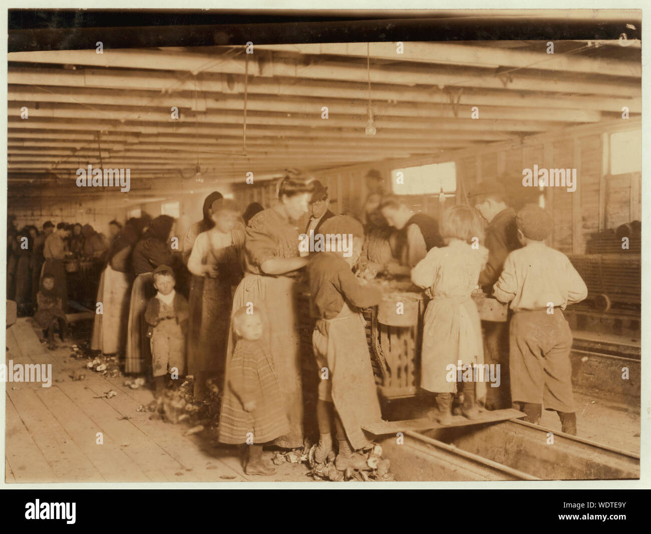 Group of oyster shuckers working in canning factory of Dunbar, Lopez ...