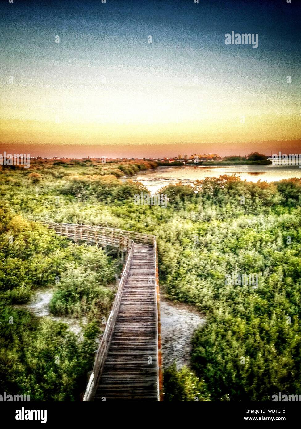 Wood bridge beach hi-res stock photography and images - Alamy