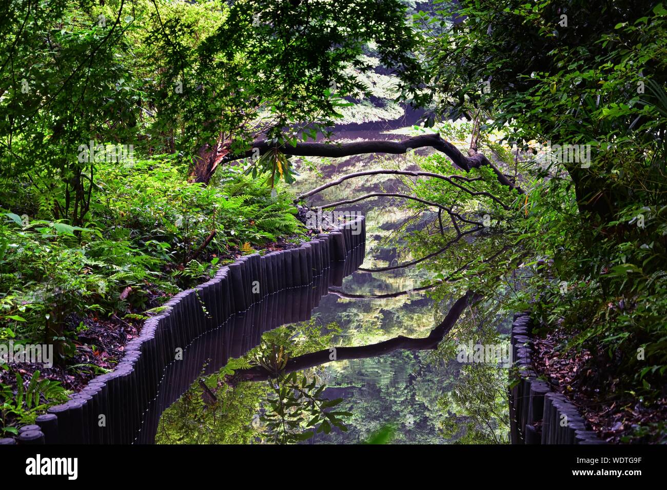 Traditional Japanese gardens in public parks in Tokyo, Japan. Views of ...