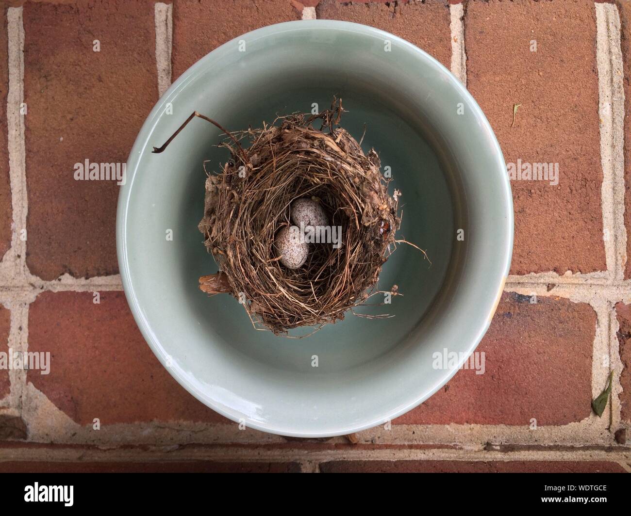 Floating egg hi-res stock photography and images - Alamy