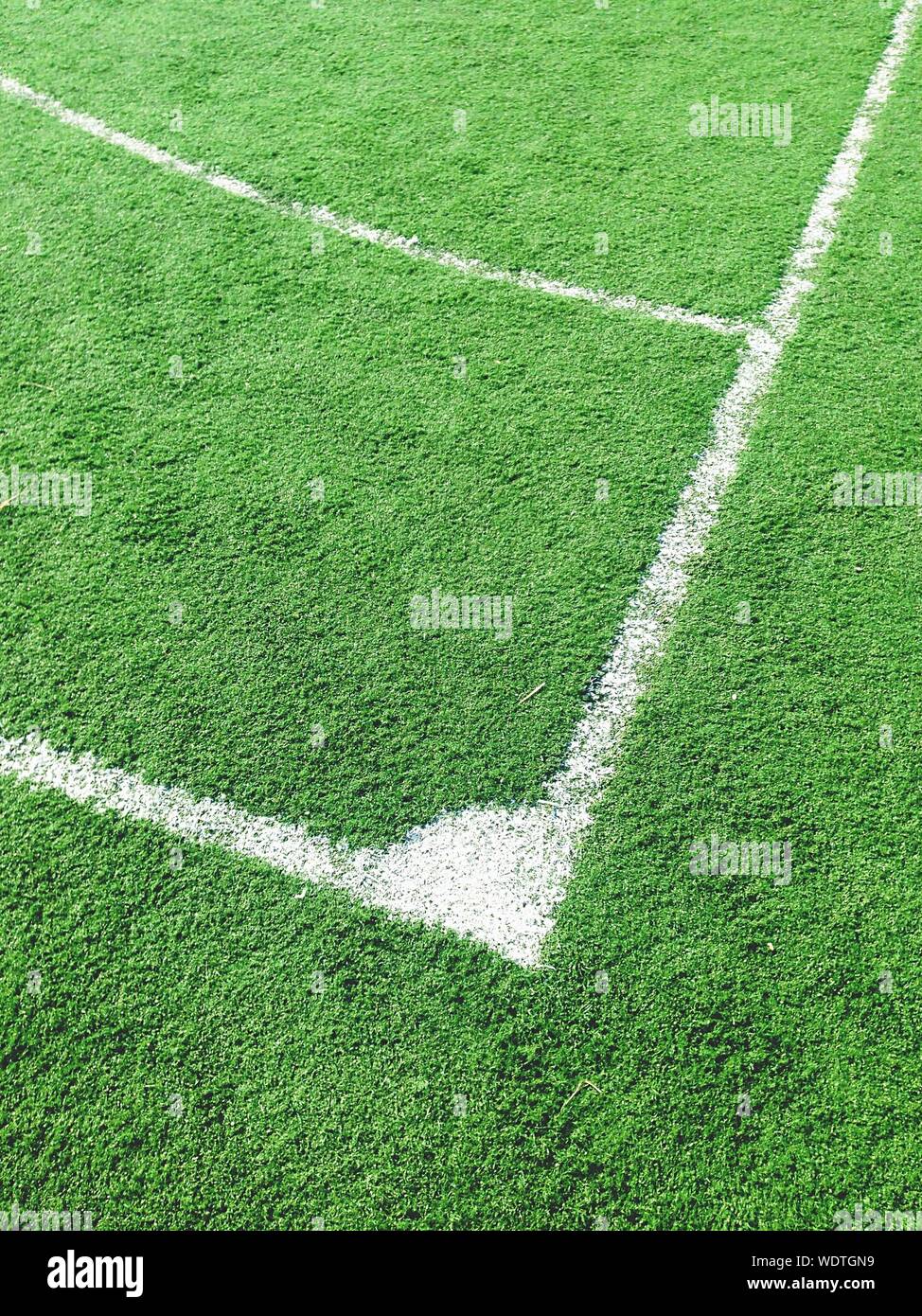 Line on grass hi-res stock photography and images - Alamy