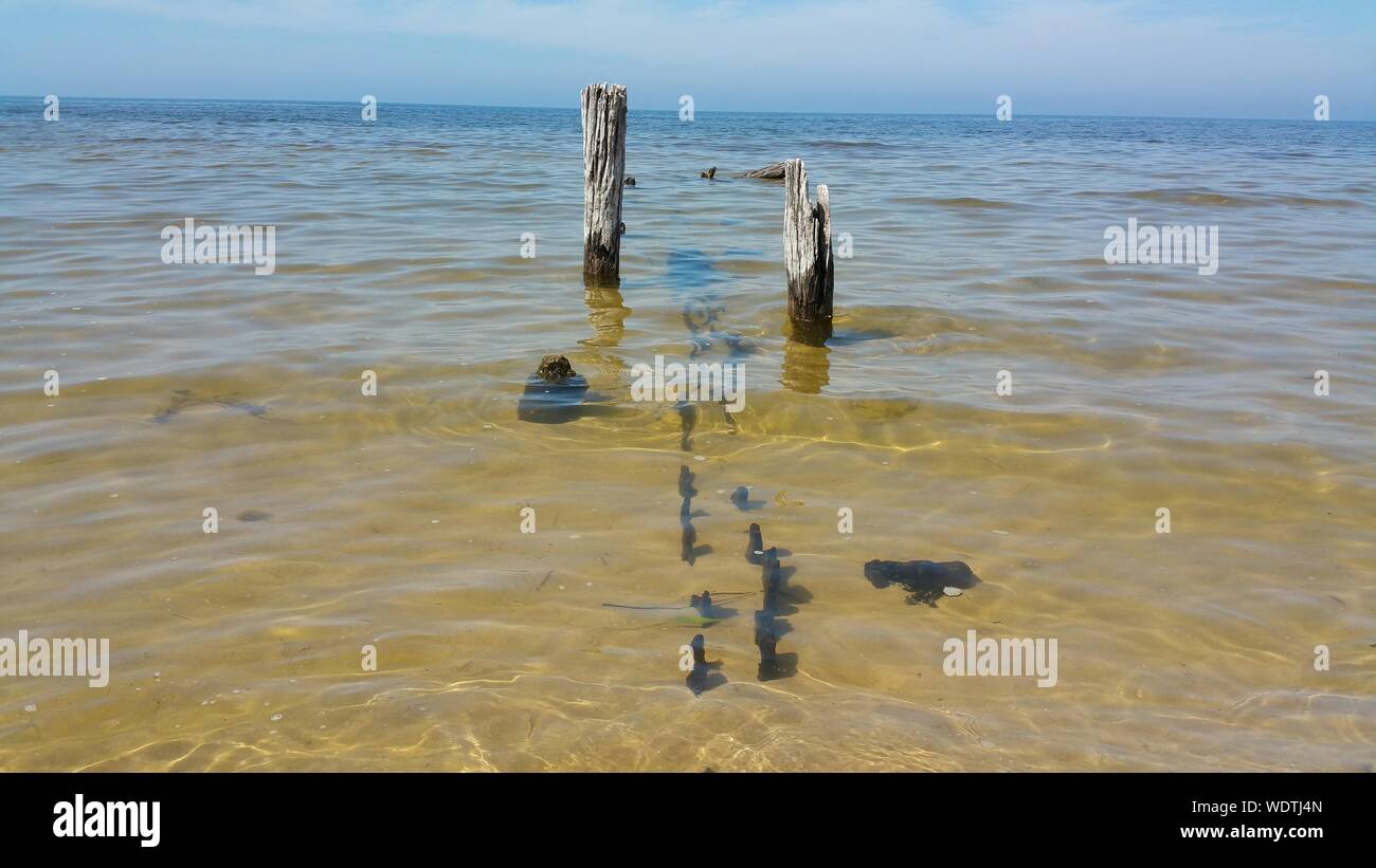 Broken Wooden Post In Lake Stock Photo - Alamy