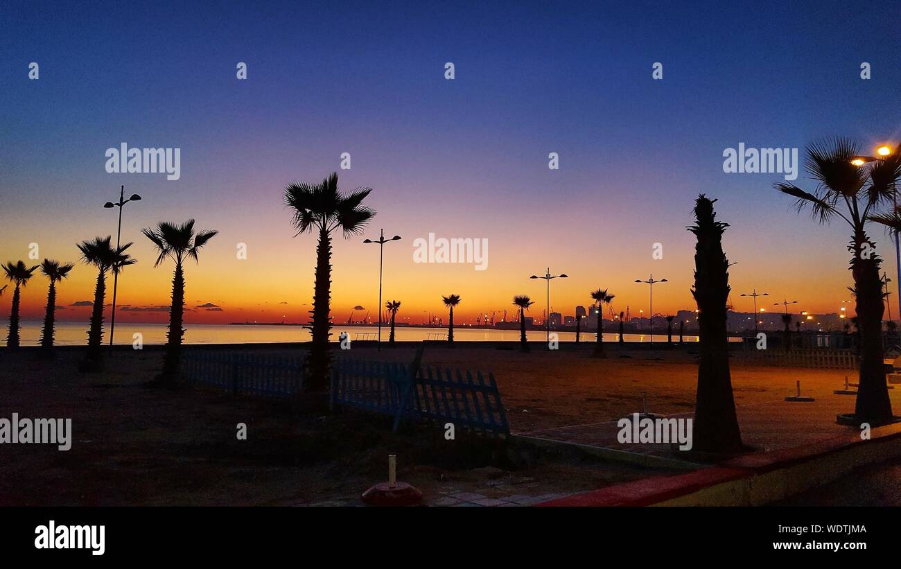 Beach albania palm trees hi-res stock photography and images - Alamy