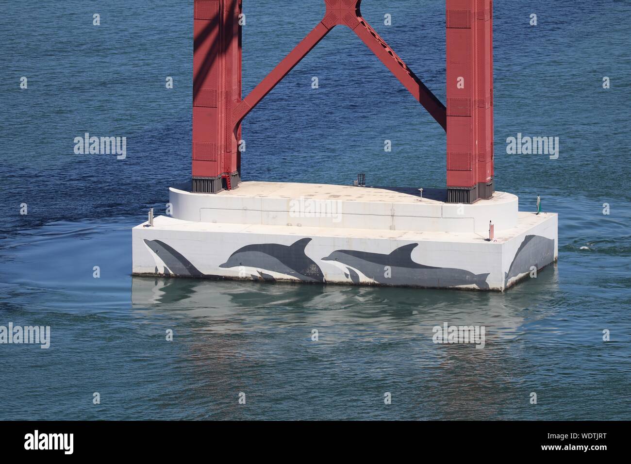 Red Sea Dolphin High Resolution Stock Photography and Images - Alamy