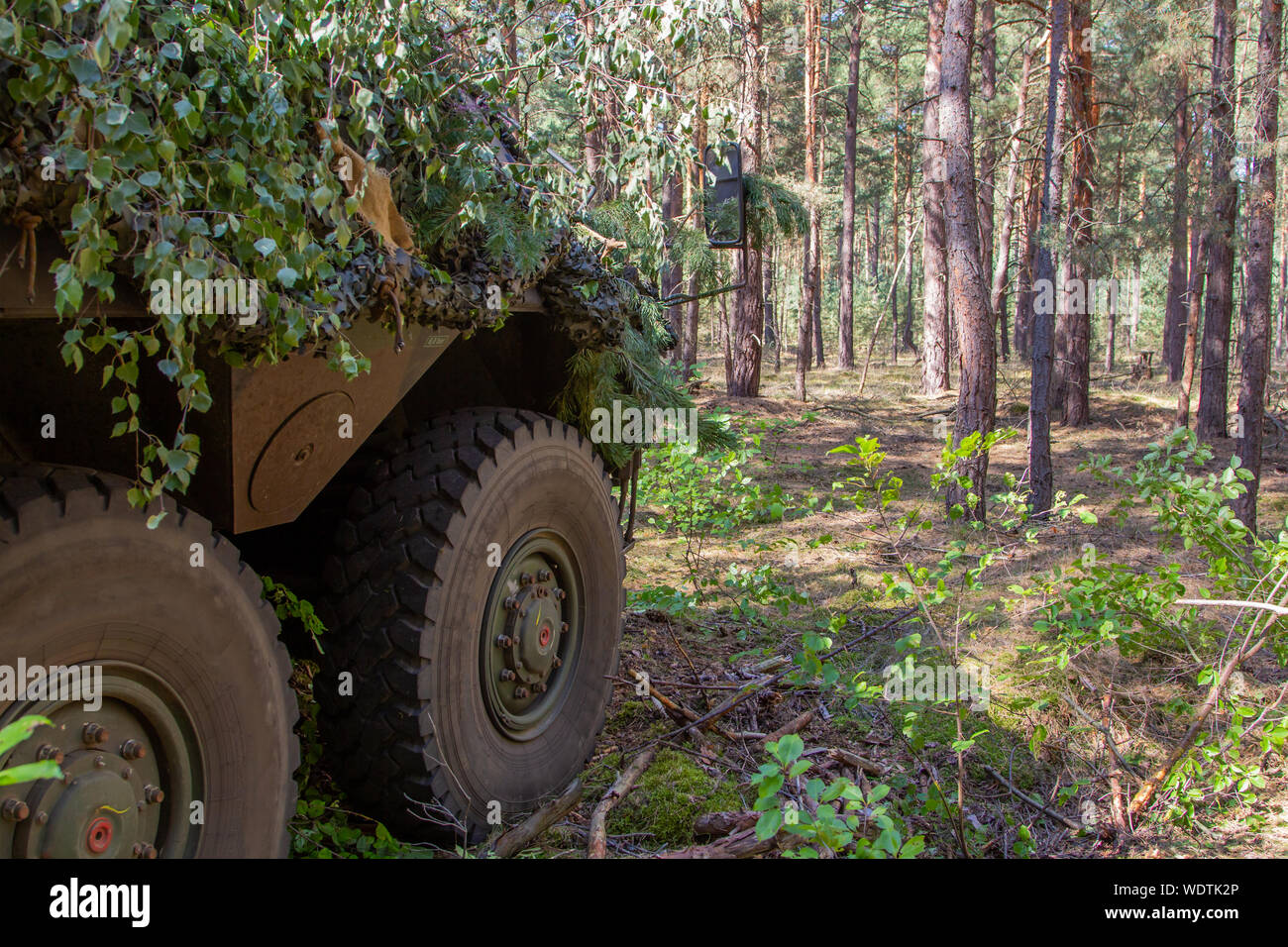 Armoured personnel carrier from german army stands in a military ...
