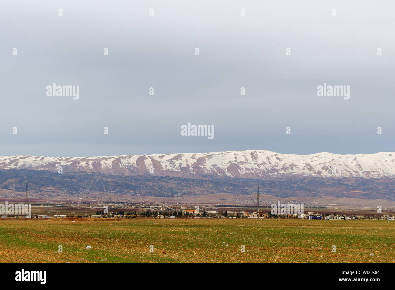 Lebanon wildlife hi-res stock photography and images - Alamy
