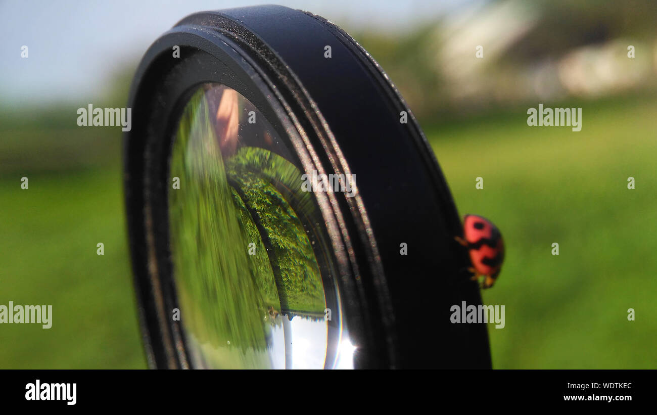Magnifying glass insect hi-res stock photography and images - Alamy