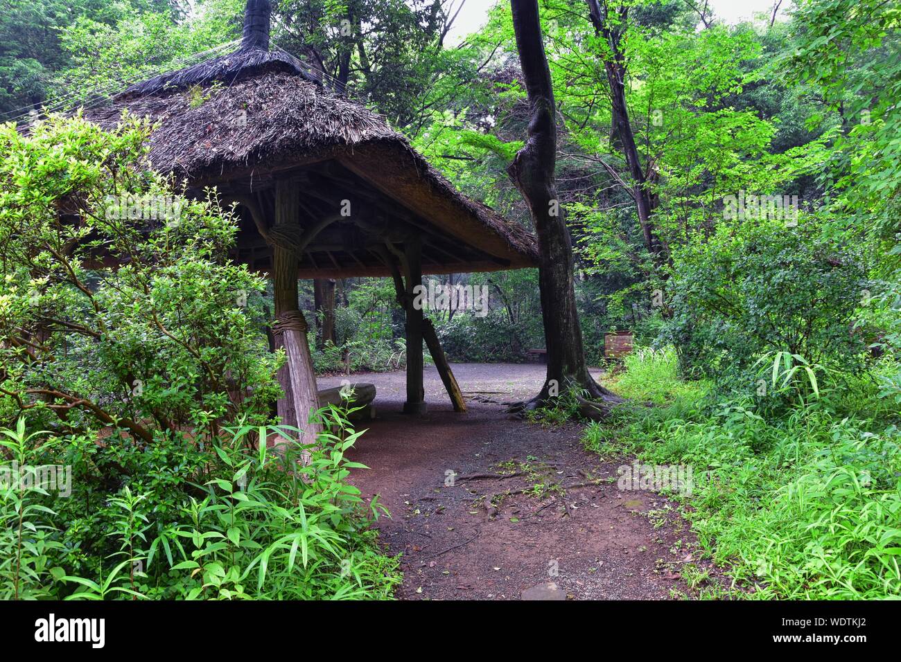 Traditional Japanese gardens in public parks in Tokyo, Japan. Views of ...