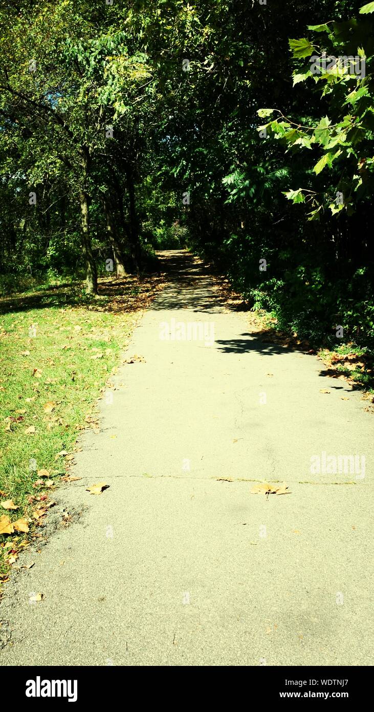 Empty park path hi-res stock photography and images - Alamy