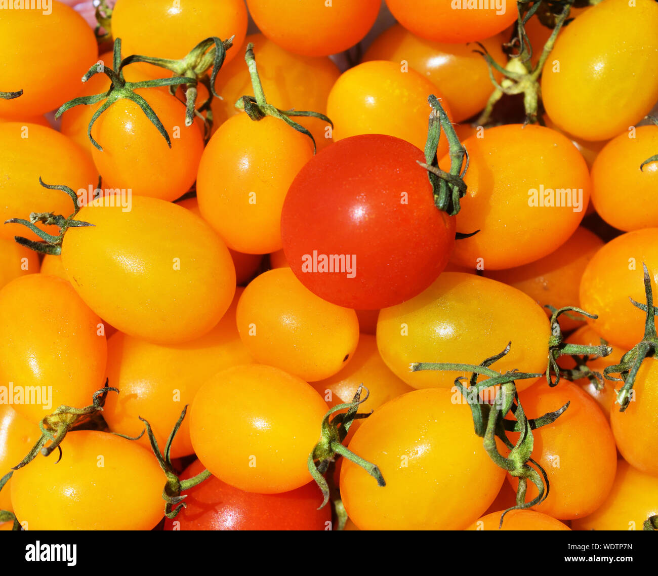 Small yellow fruits hi-res stock photography and images - Alamy