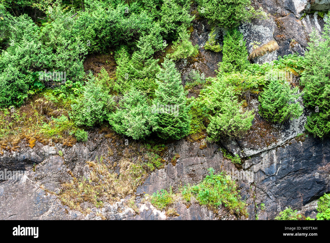 Forest cliff countryside deciduous hi-res stock photography and images ...