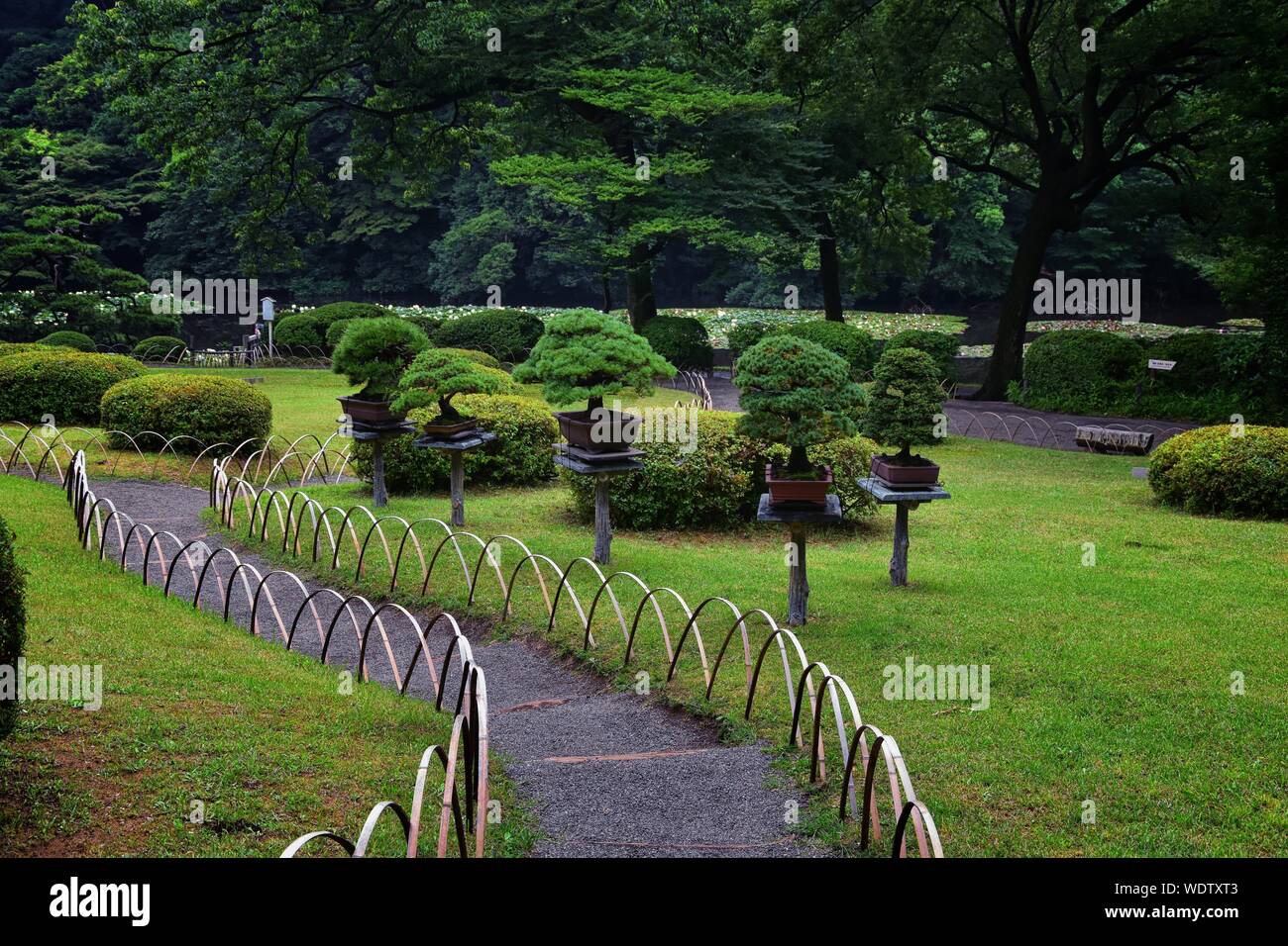 Traditional Japanese gardens in public parks in Tokyo, Japan. Views of ...