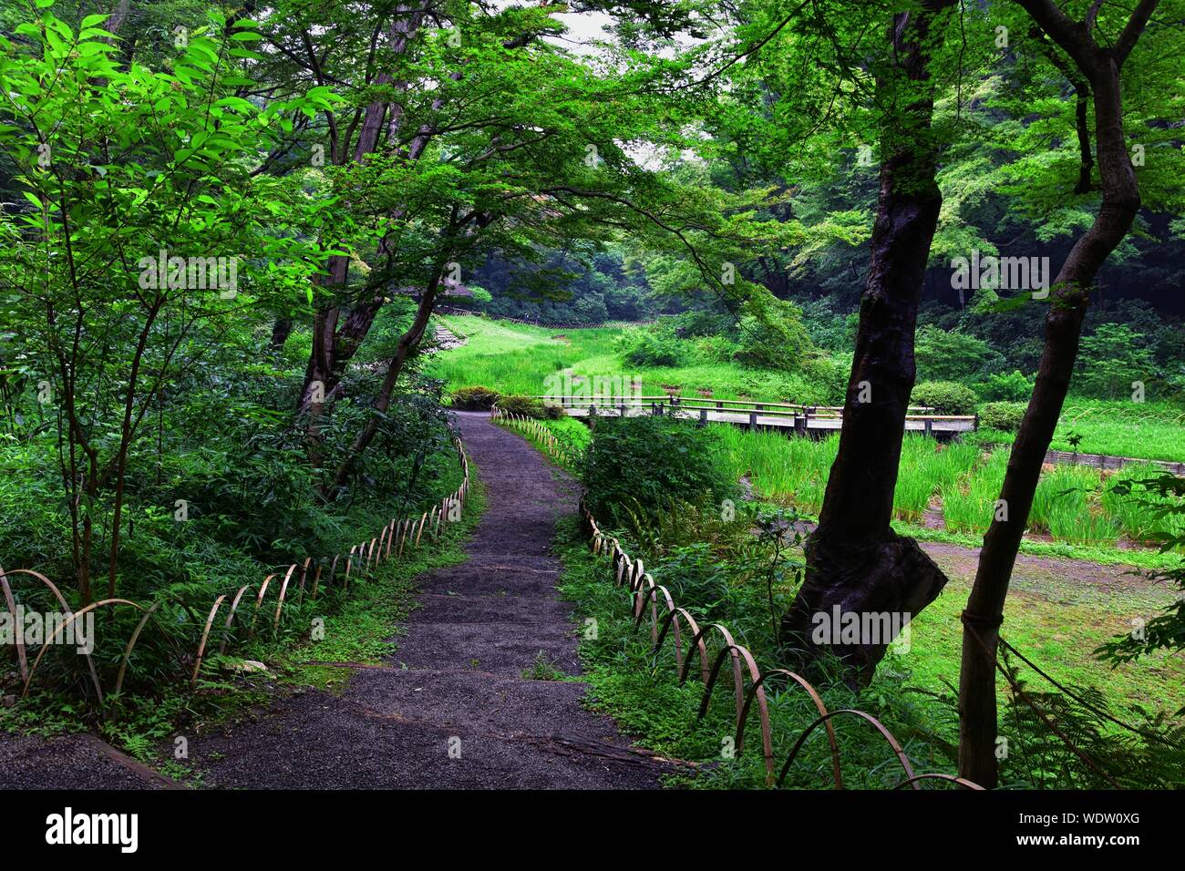 Traditional Japanese gardens in public parks in Tokyo, Japan. Views of ...