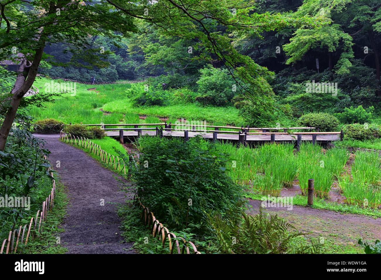Traditional Japanese gardens in public parks in Tokyo, Japan. Views of ...